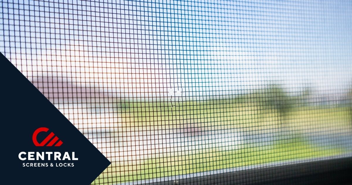 Why You Need to Replace Your Flyscreen | Central Screens & Locks
